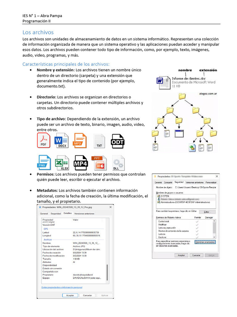 Manejo de Archivos Con Python | PDF