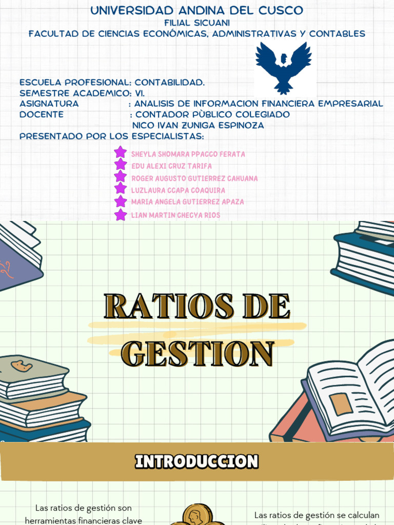 Exposicion Ratios de Gestion | PDF