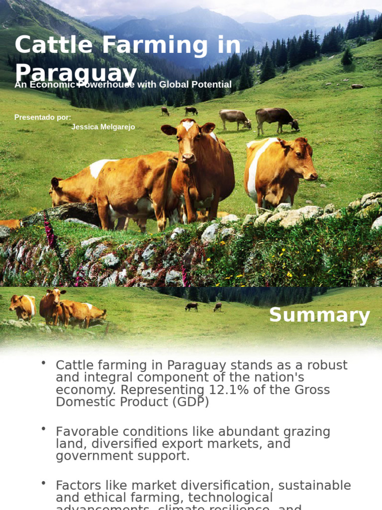 Cattle Farming in Paraguay - JM | PDF