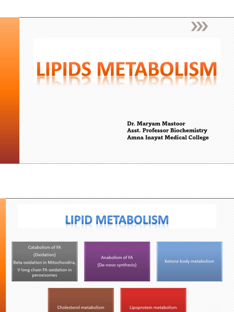 Lipids Metabolism-Dr Maryam | PDF