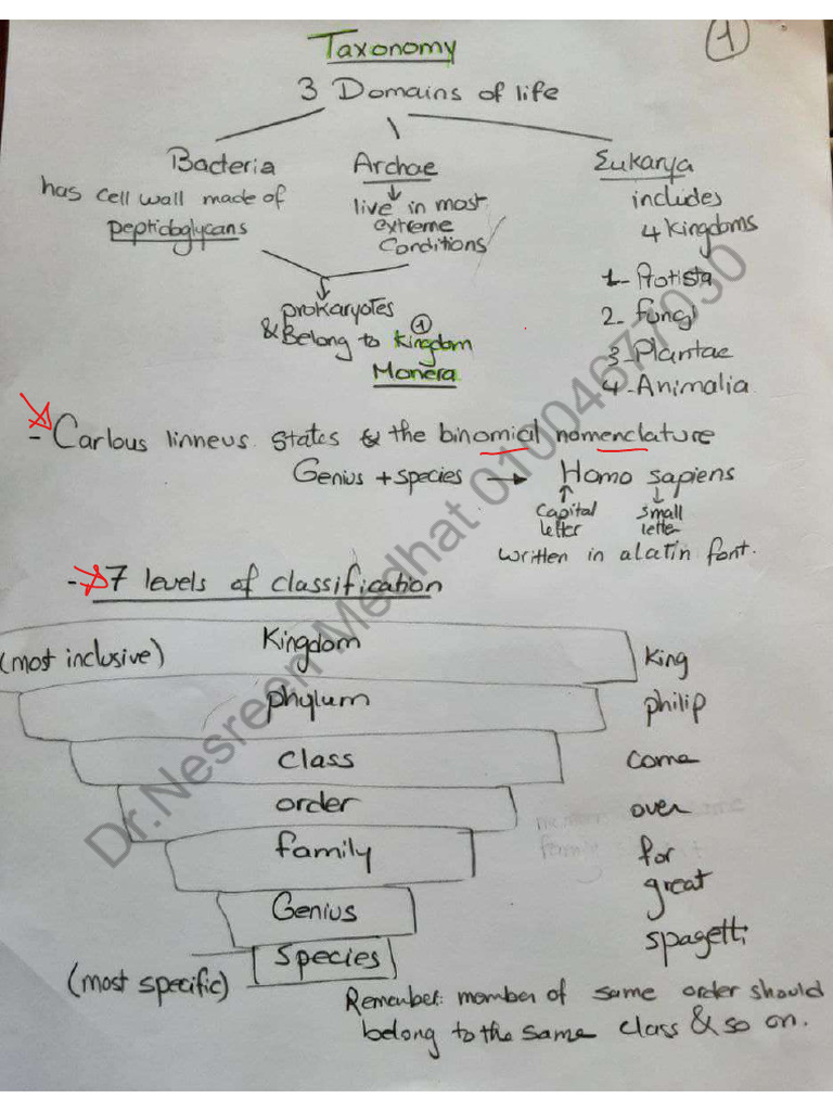 Notes On Taxonomy Pdf