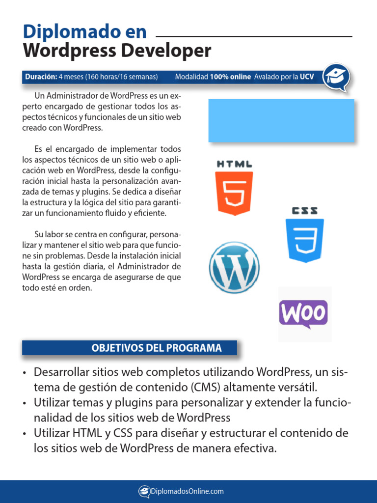 Brochure-WordPress-Developer | PDF