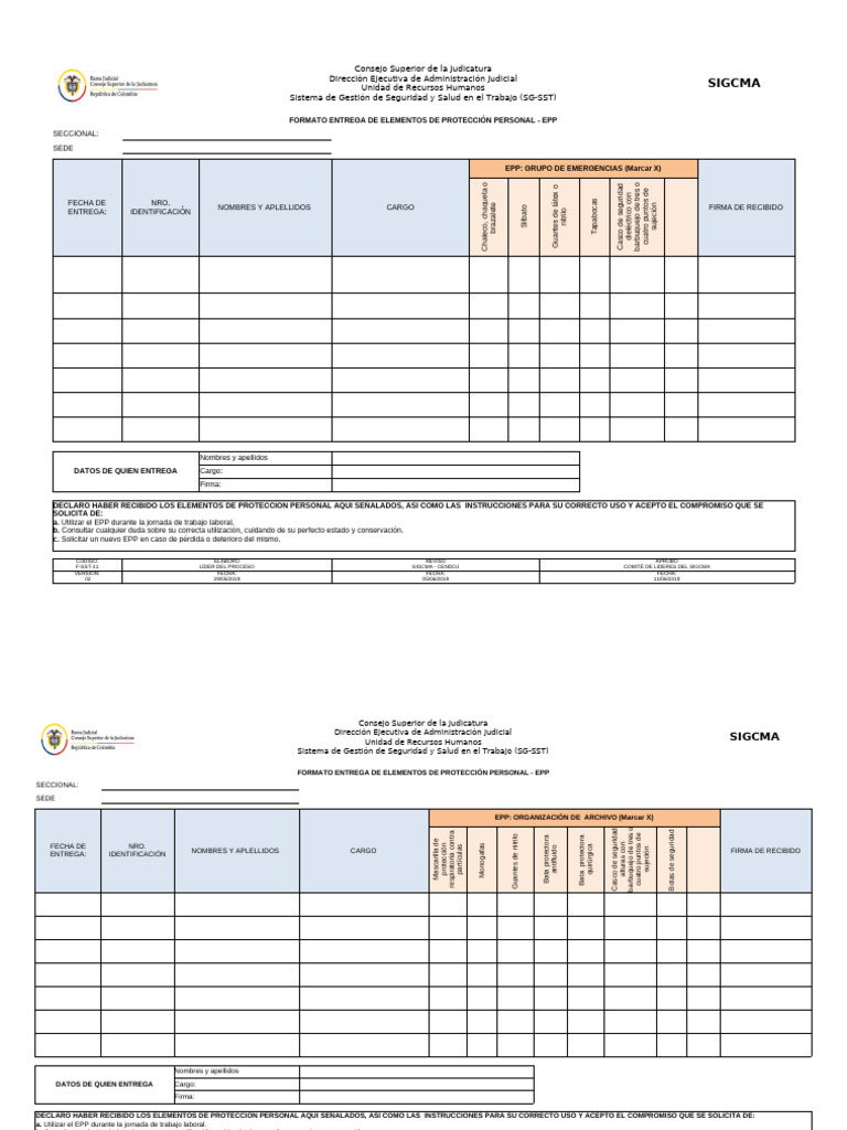 Formato Entrega EPP 2024 | PDF