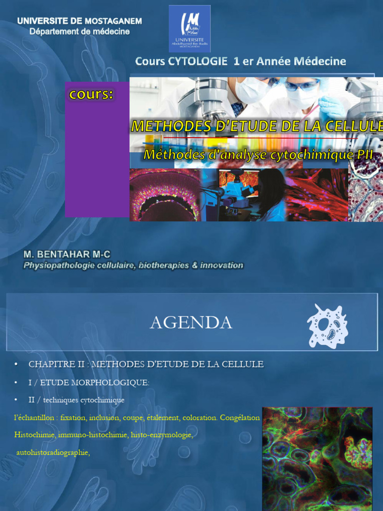 COURS - 11 - Methodes Cytochimiques | PDF