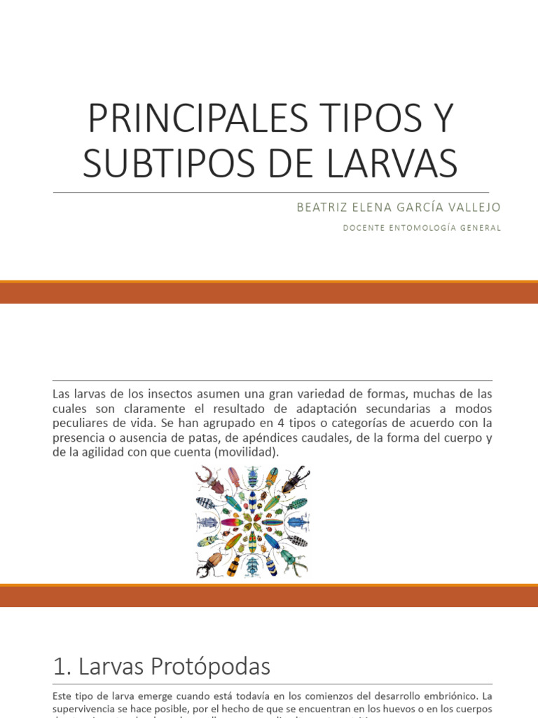 Principales Tipos y Subtipos de Larvas | PDF