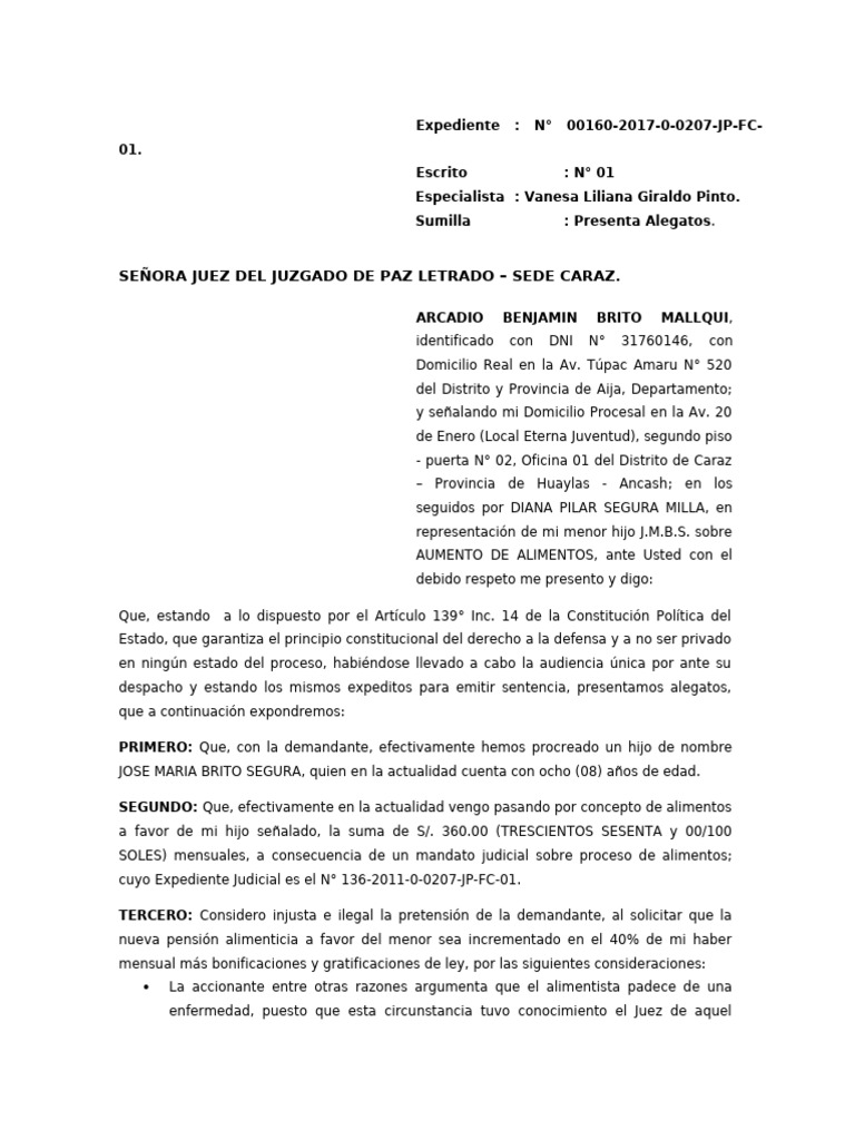 Presenta Alegatos - Benjamin Arcadio Britto Mallqui | PDF