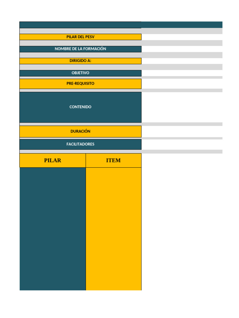 Formato de Auditoria Pesv | PDF