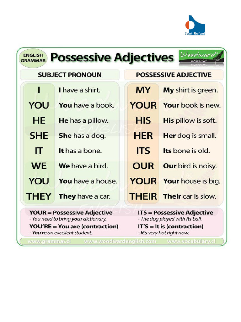 Possessive Adjectives | PDF