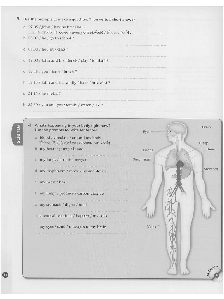 Present Continuous Practice 2 | PDF