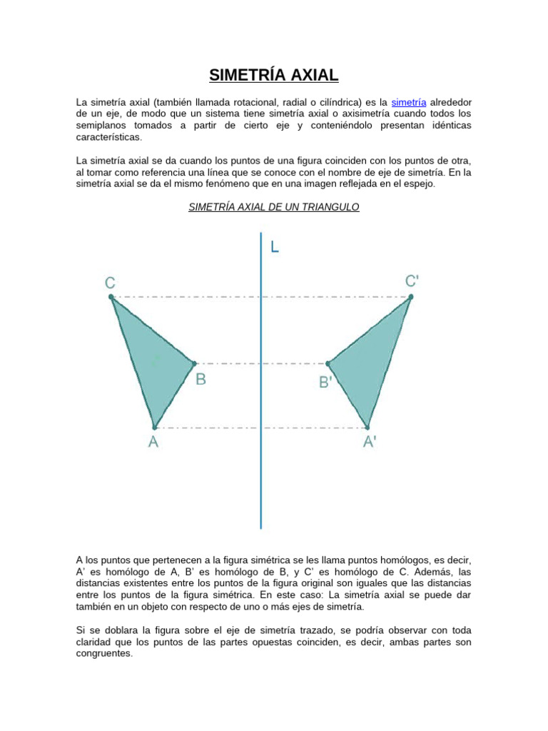Simetría Axial y Central | PDF