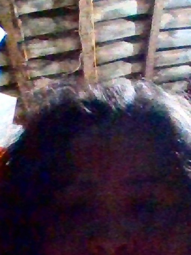 SCN 20240731 232940 | PDF