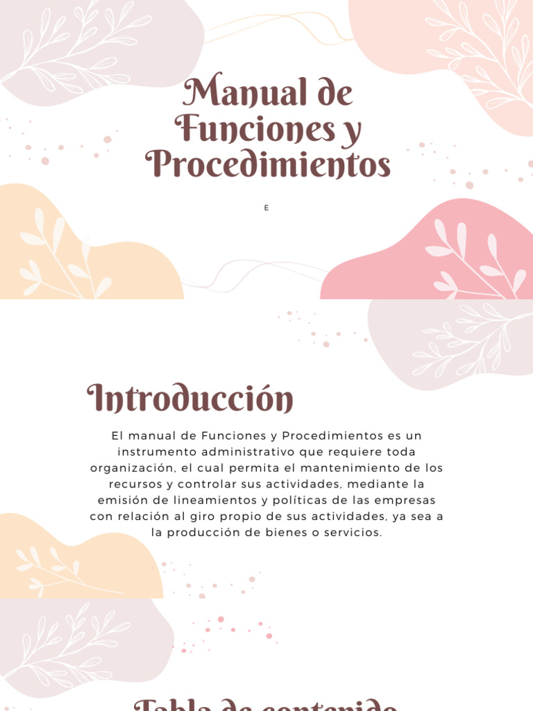 Manual de funciones y procedimientos | PDF