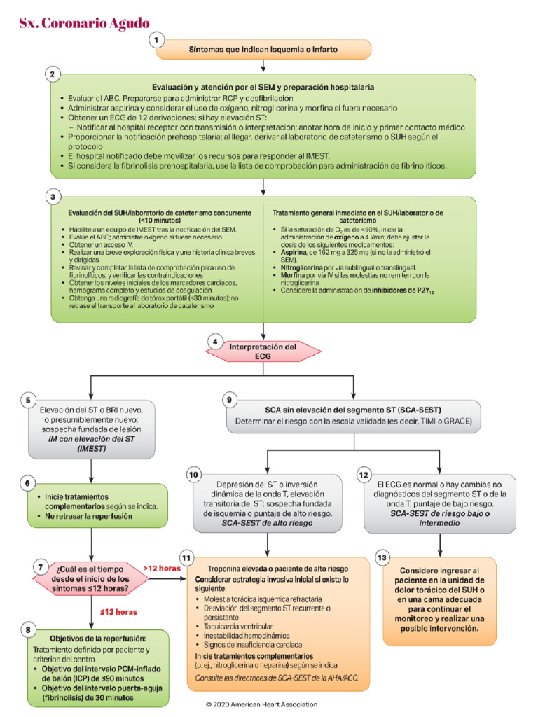 Algoritmos Aha 2020 | PDF