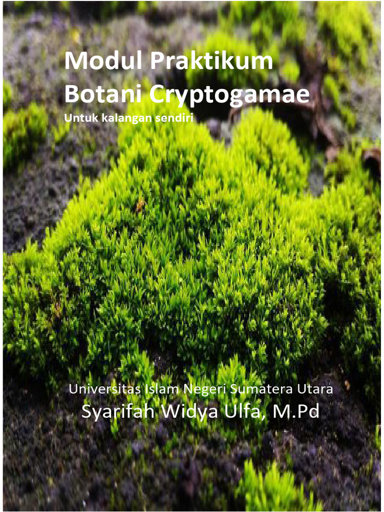 Modul Praktikum Botani Cryptogamae 2023 Ke Perpus | PDF