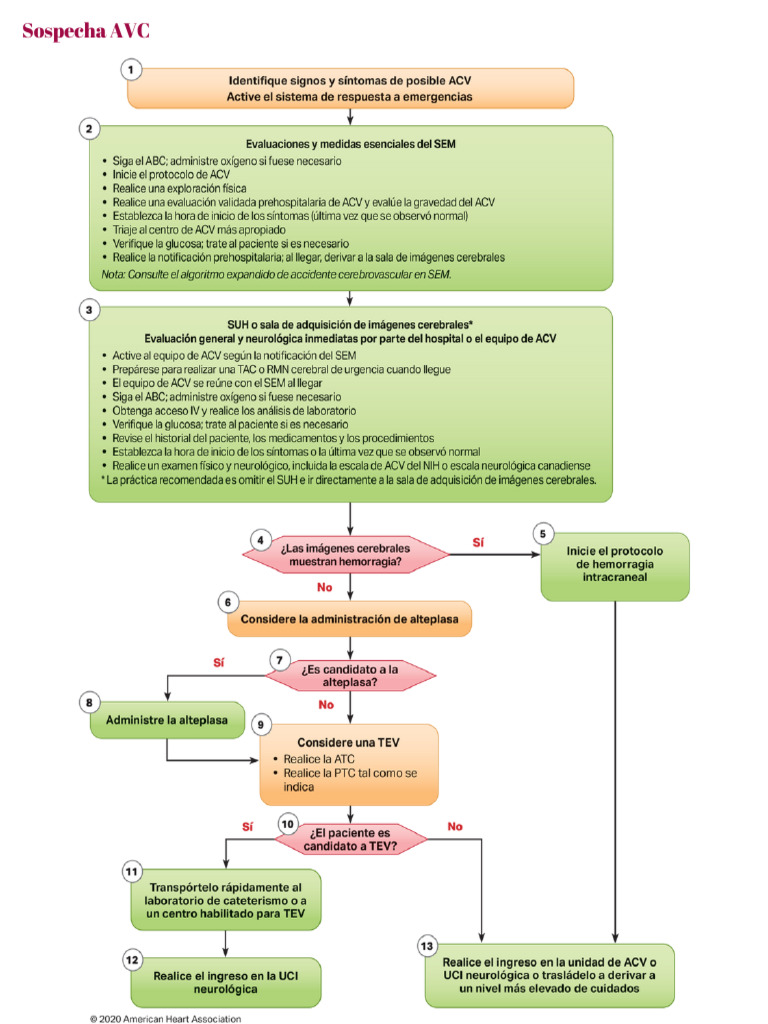 Algoritmo Acv Aha 2024 | PDF