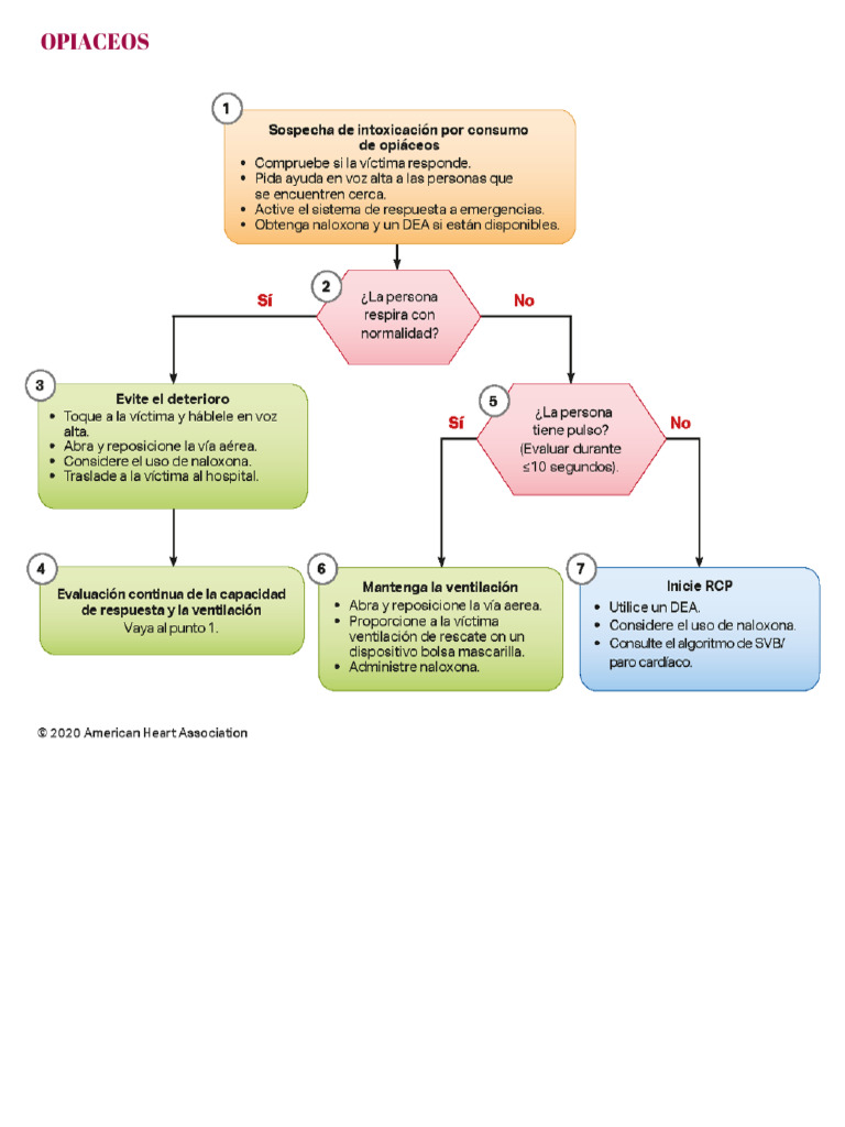 ALGORITMO OPIACEOS AHA 2020 | PDF