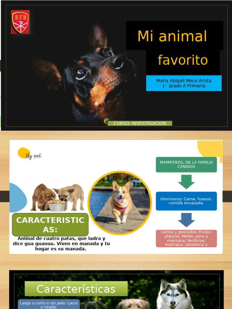 EXPOSICION MI MASCOTA FAVORITA ABIGAIL MECA AGOSTO 2024 Ultima Version | PDF