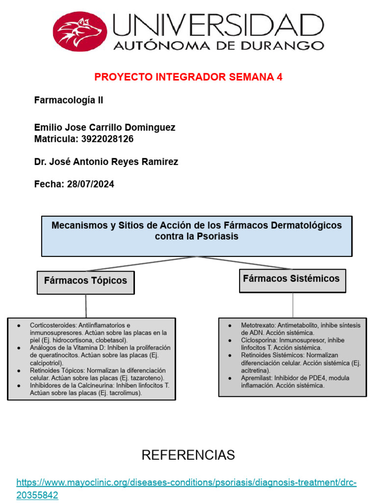 Proyecto Integrador Semana 4 | PDF