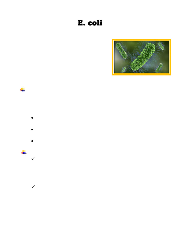 E. Coli | PDF