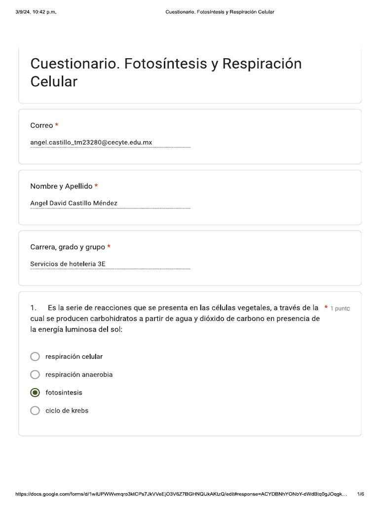 Angel David Castillo Méndez | PDF