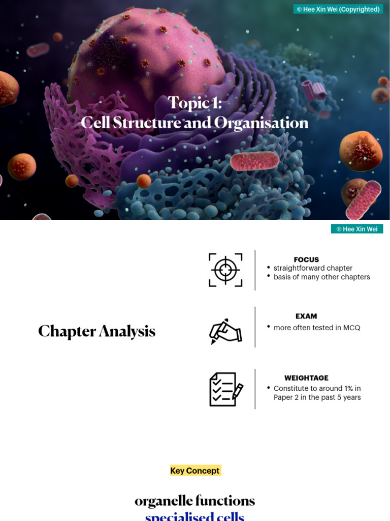 [CS BIO] Chapter 1 - Cell Structure and Organisation | PDF