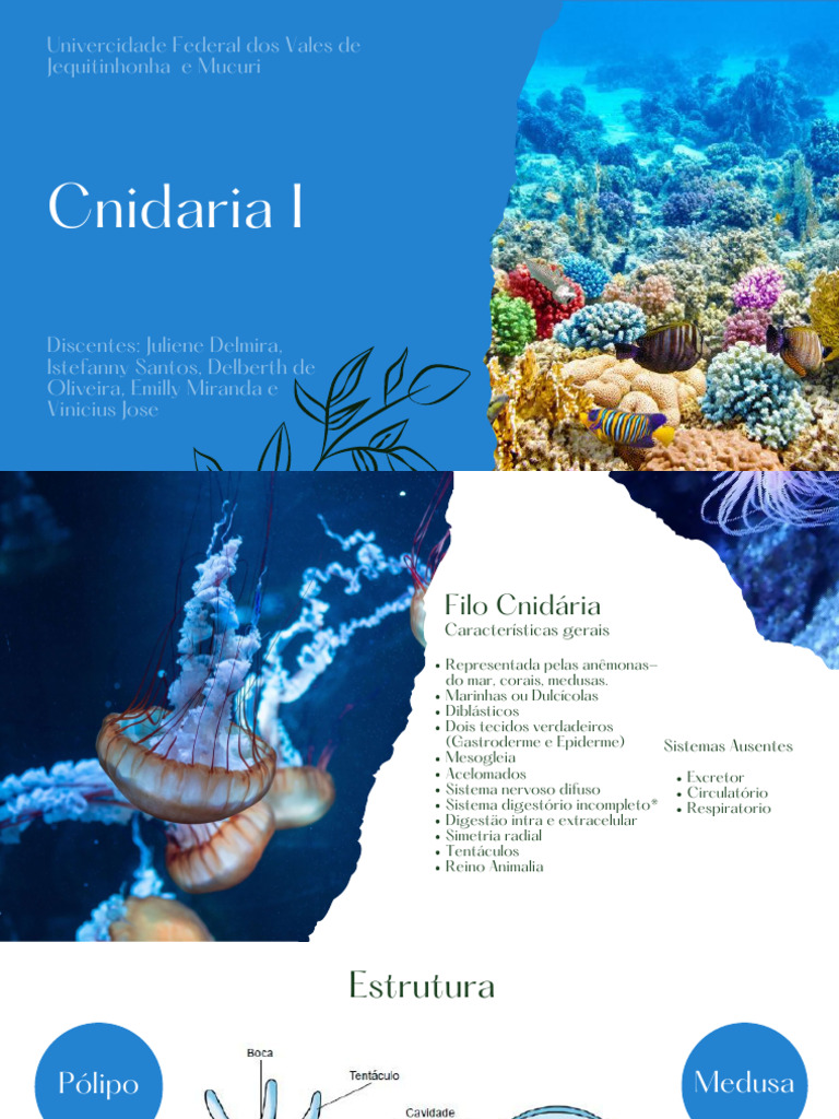 Cnidaria I Cnidaria II Corais | PDF