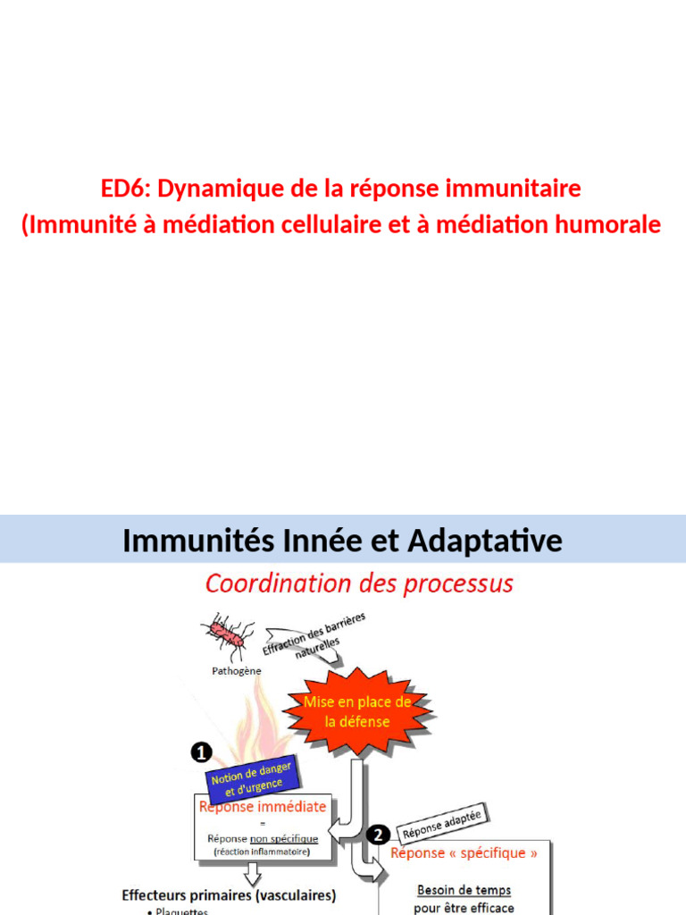 Définition de l'immunité et mécanismes | PDF | Système immunitaire ...