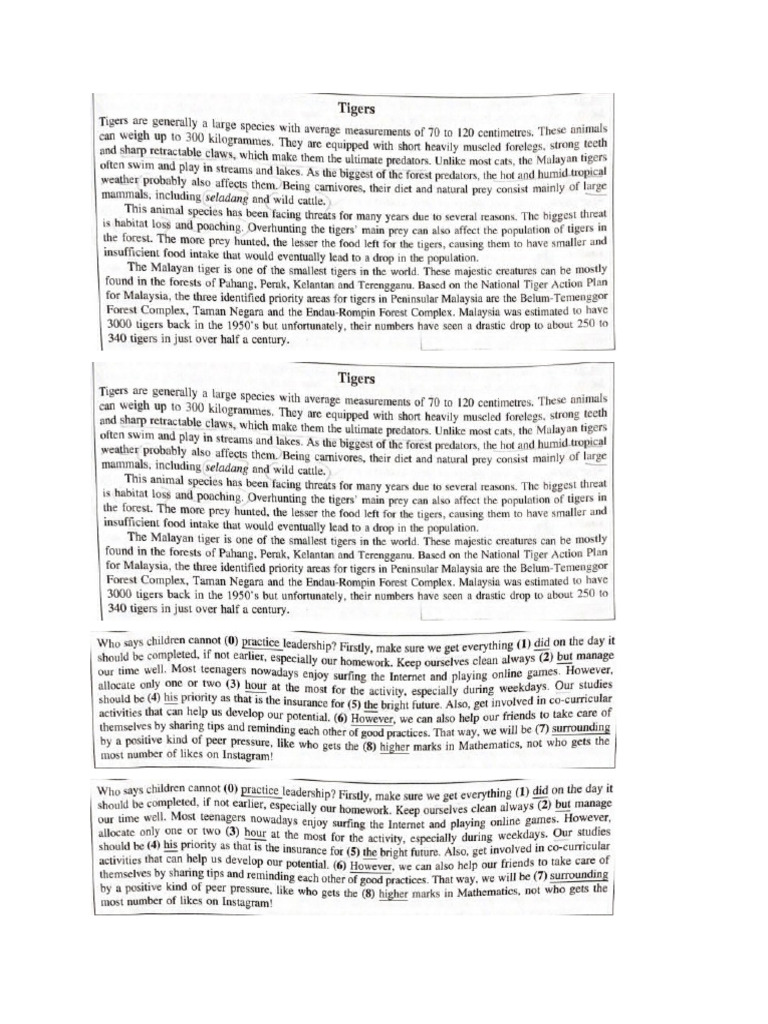 Form1 Exam Exercise | PDF