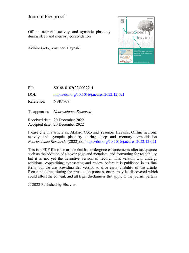 Offline neuronal activity and synaptic plasticity during sleep and ...