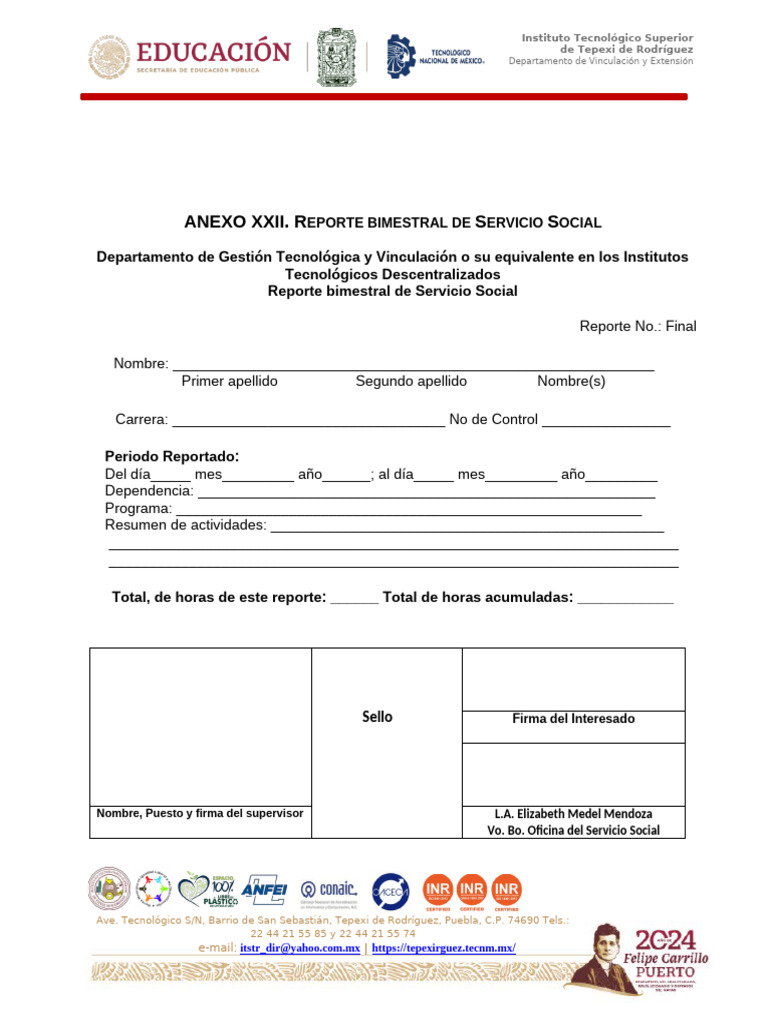 7. REPORTE FINAL2024 | PDF