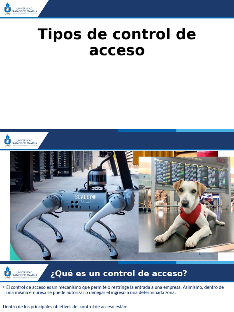 Tipos de Control de Acceso | PDF