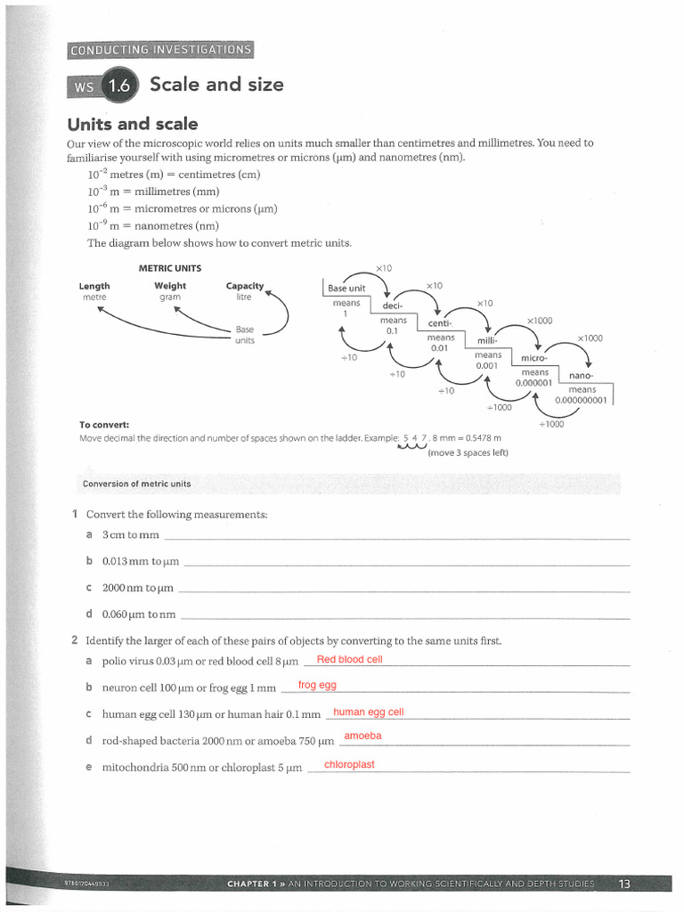 02.cells - Scale and Size | PDF | Science & Mathematics