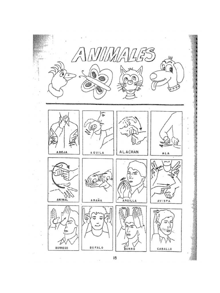 Animales y Escuela Lsm | PDF