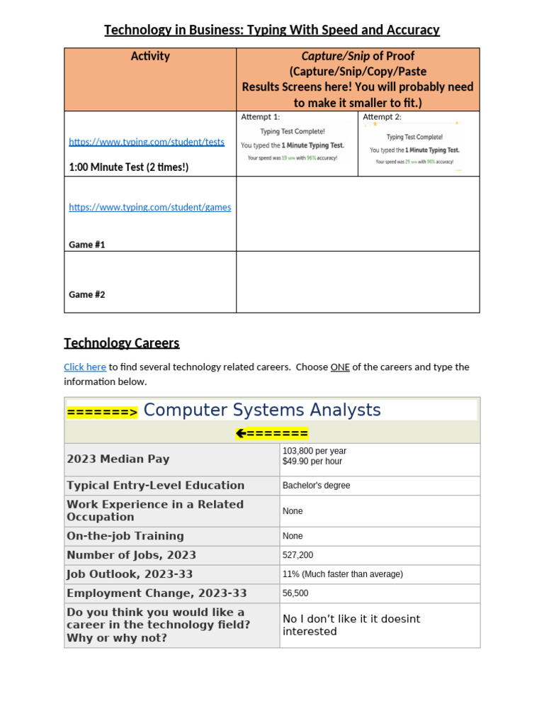 Computer System Analysts | PDF