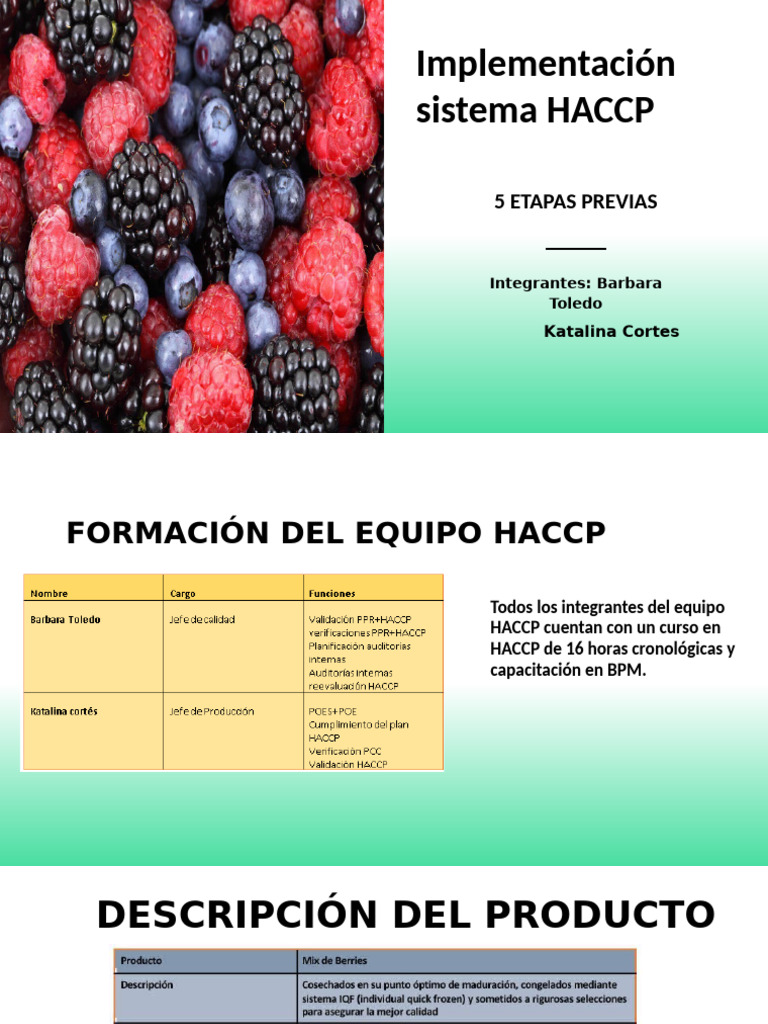 Sistema Haccp | PDF