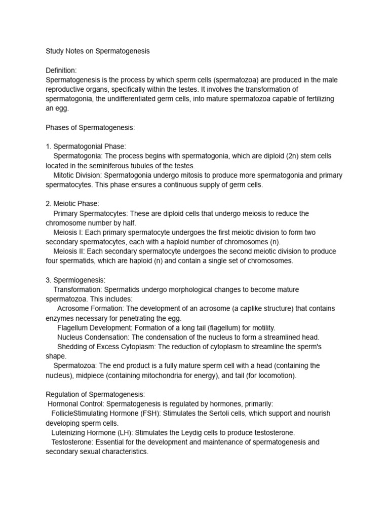 Study Notes On Spermatogenesis | PDF