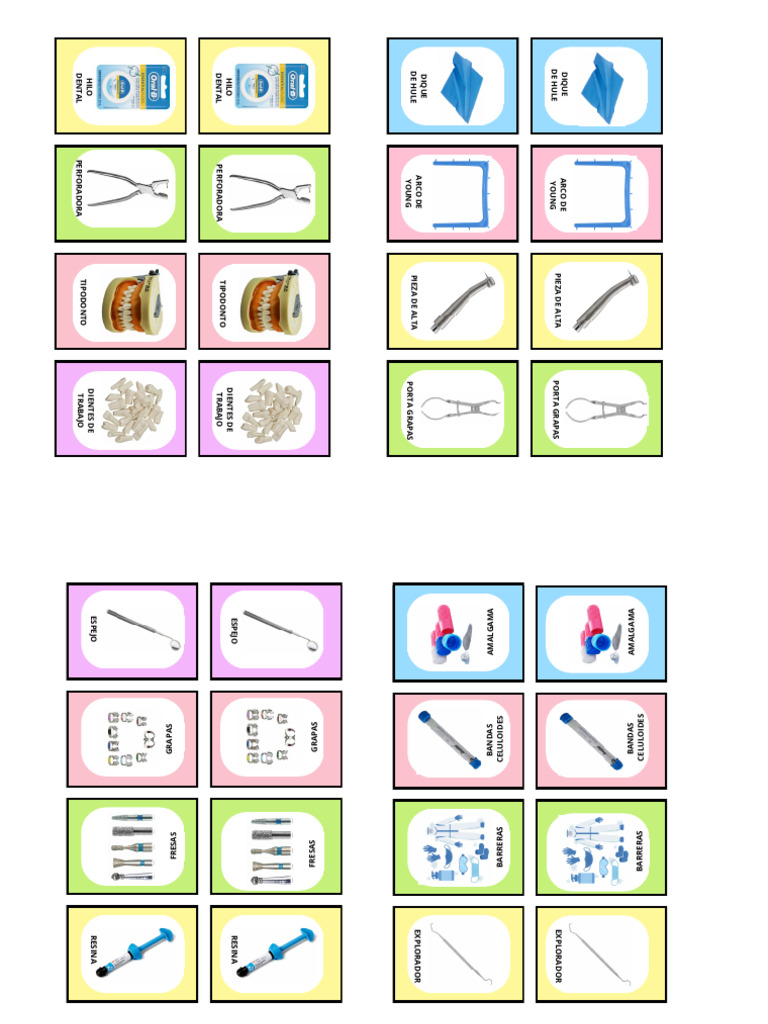 Tarjeta Educativa Colorida Para Estudiar Las Partes Del Cuerpo Pdf