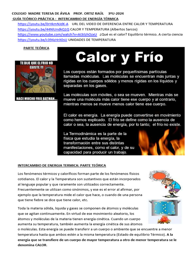 GUIA TEMP. y CALOR 3-U-2024 | PDF