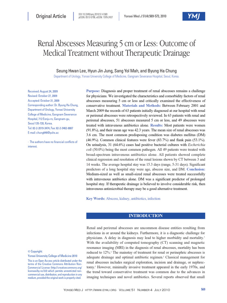 Renal Abscesses Measuring 5 CM or Less | PDF