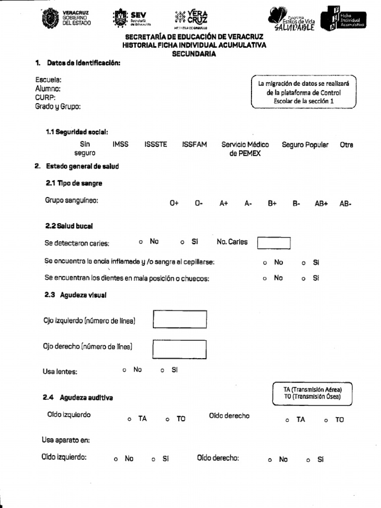 Formato Fia 2024-25 | PDF