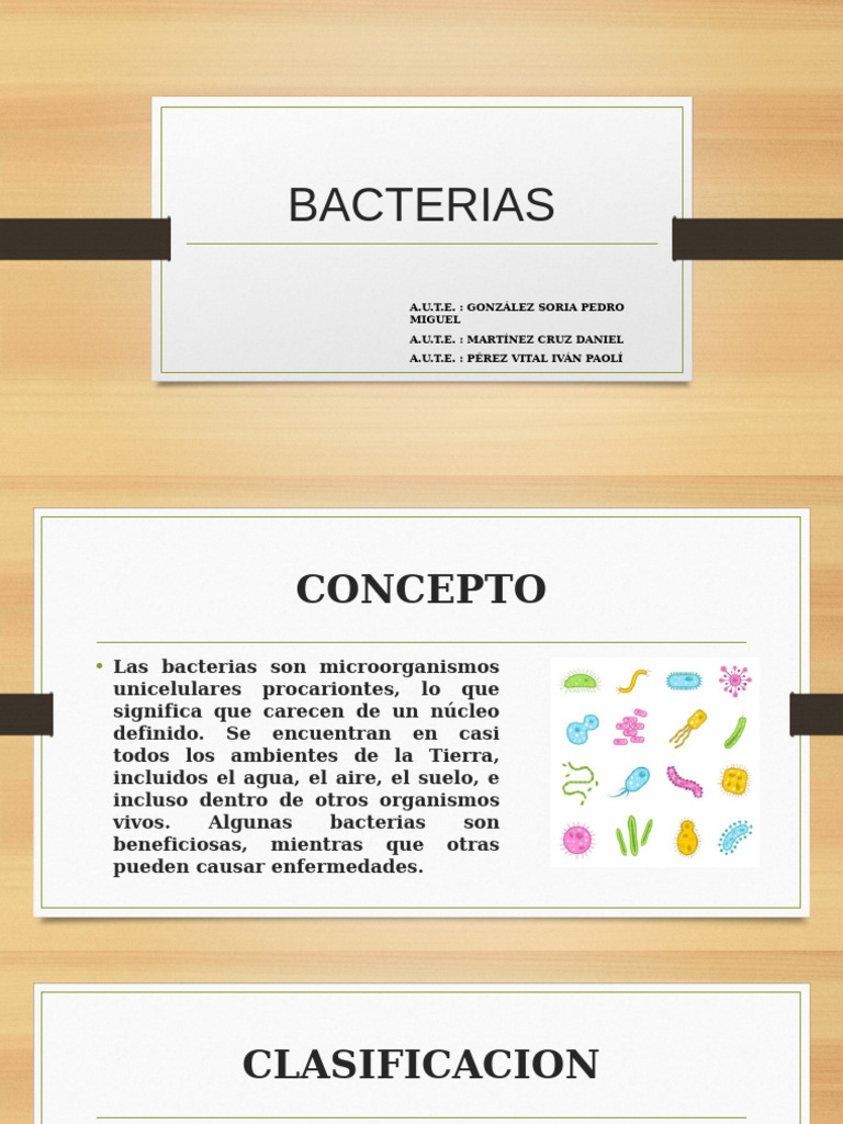 BACTERIAS | PDF