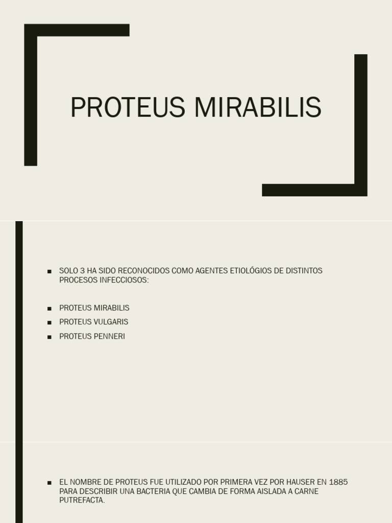 Proteus Mirabilis | PDF