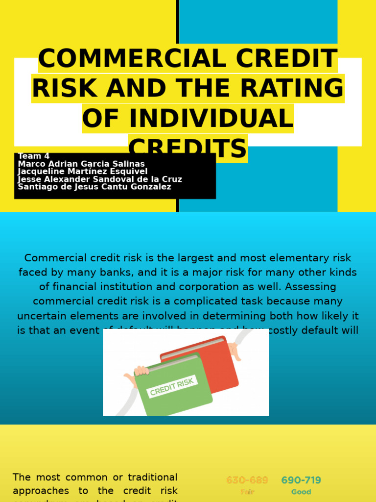 Commercial Credit Risk | PDF