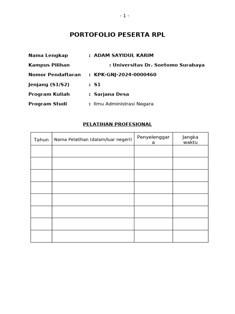 PORTOFOLIO-RPL-2024 | PDF