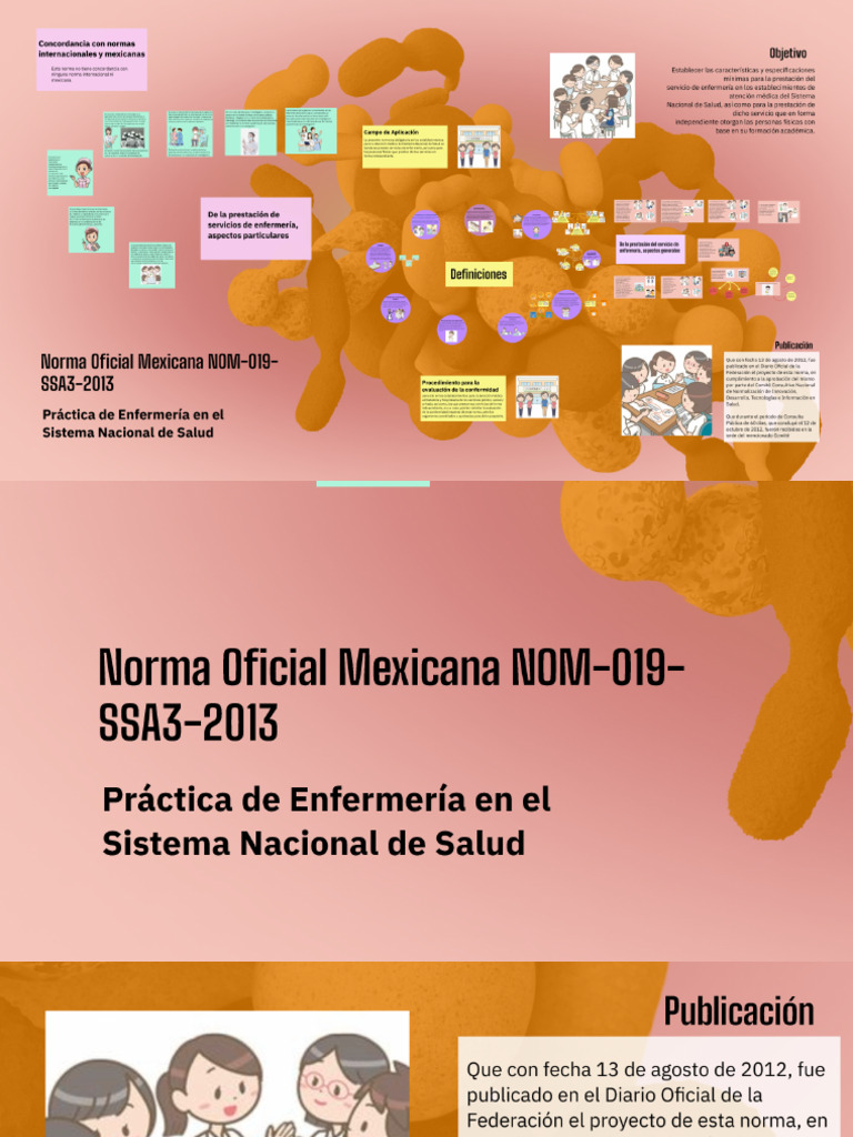 Nom-019-Ssa3-2013 para La Práctica de Enfermería en El Sistema Nacional ...