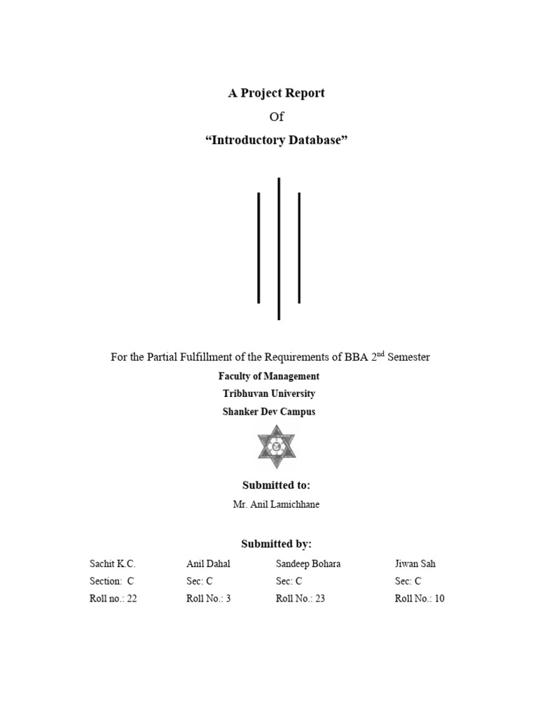 Introductory Database Project Report | PDF