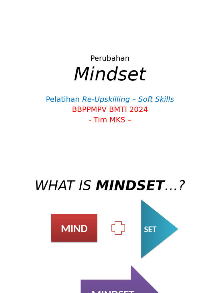 Mindset | PDF