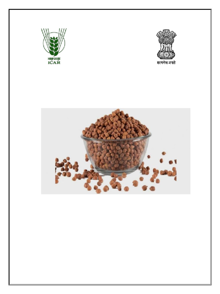 Bengal Gram | PDF