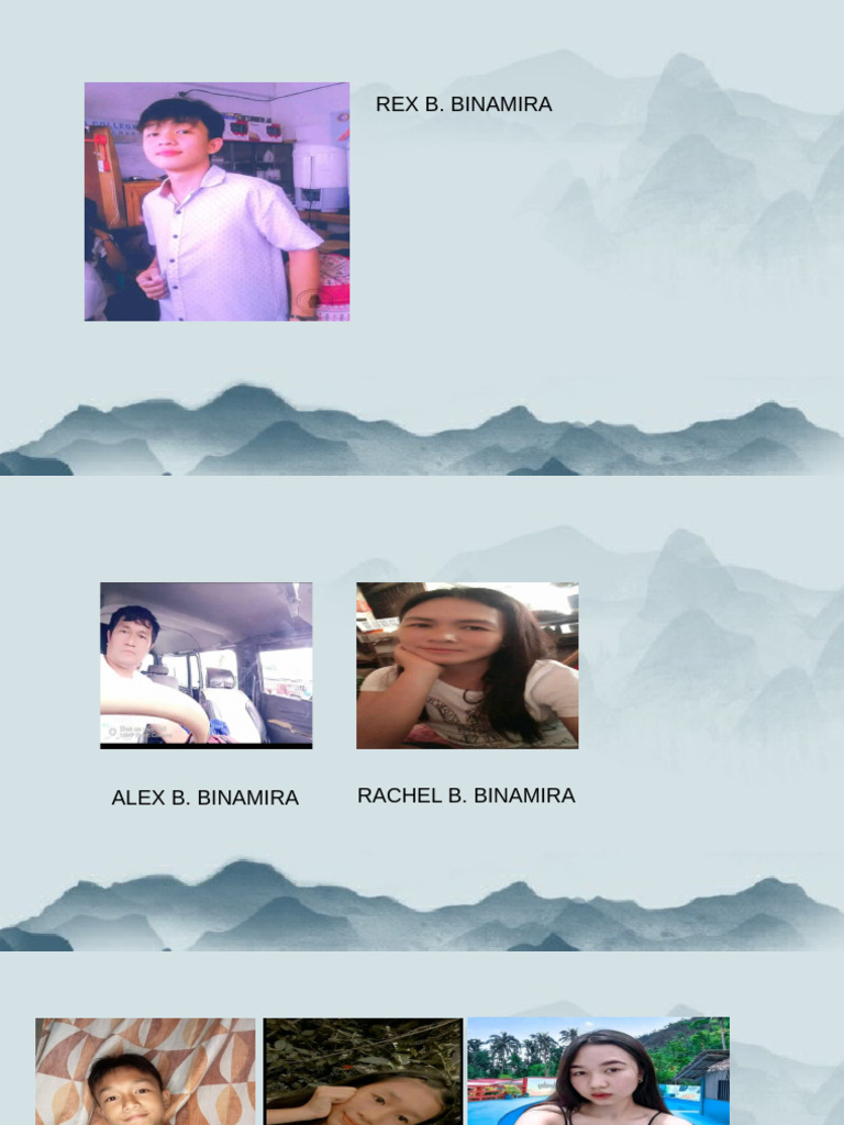 My Presentation Rex | PDF