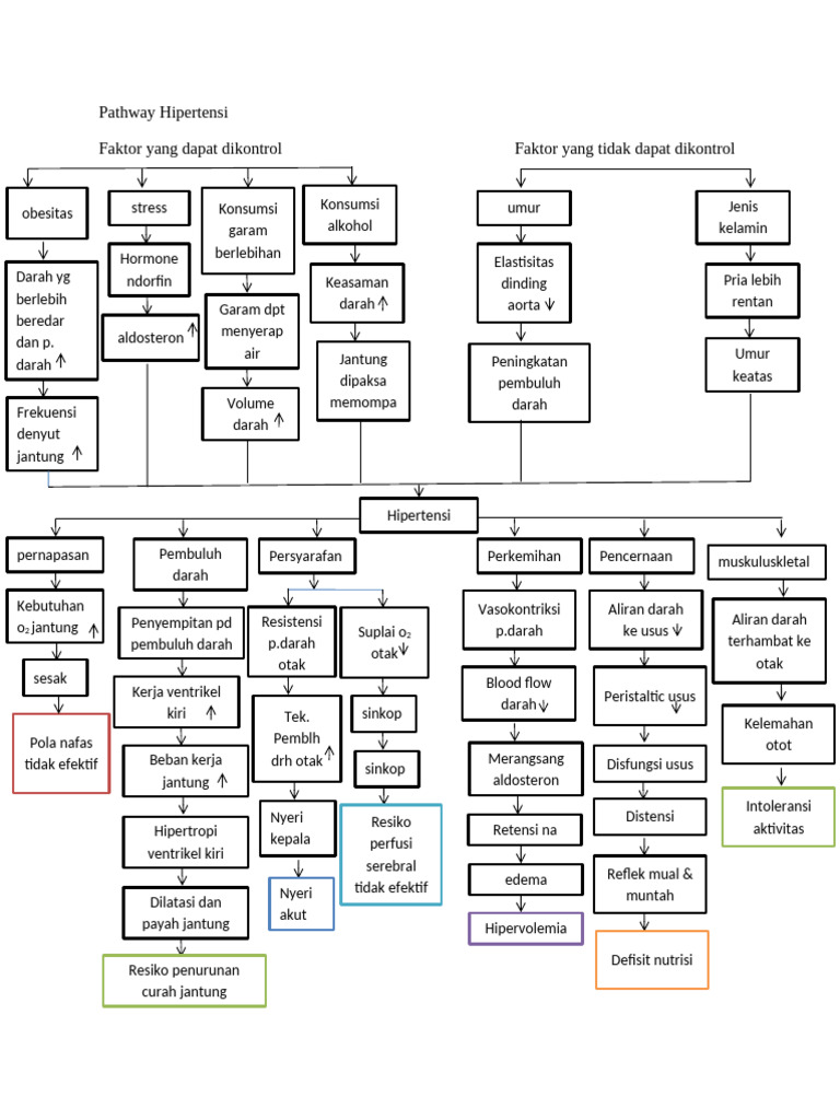 Pathway Hipertensi | PDF